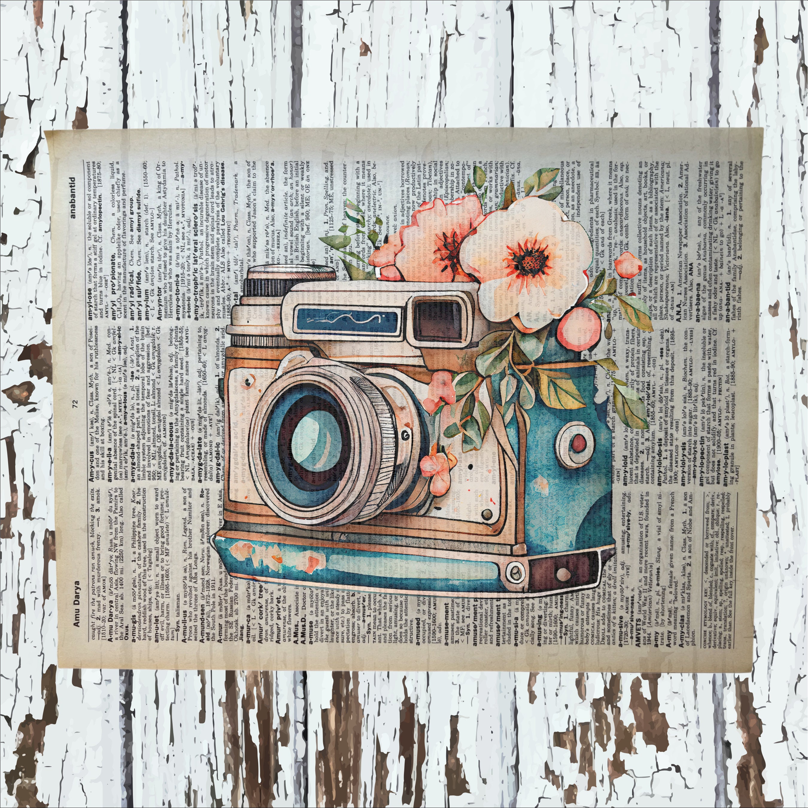 Vintage Camera Themed Dictionary Prints Floral Watercolor Design ...