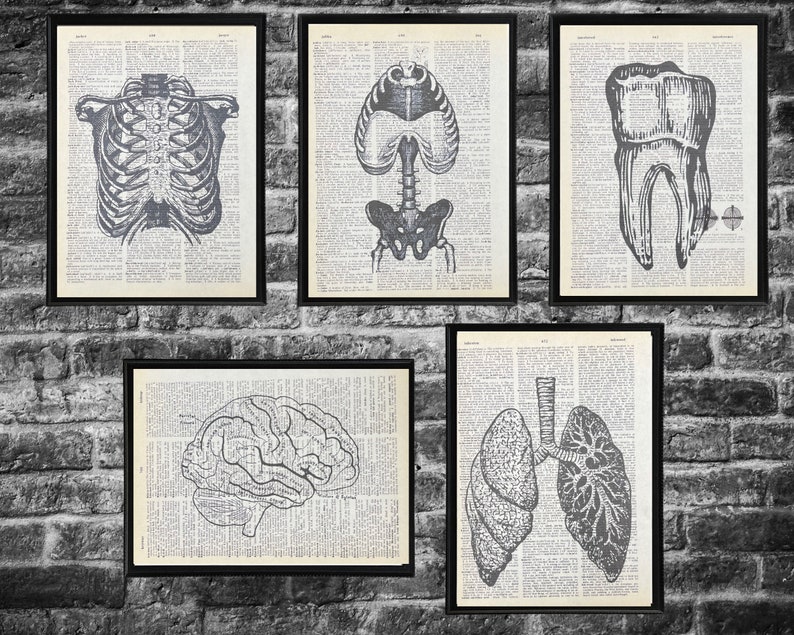 Anatomy Dictionary Prints Black and White Art Print Recycled - Etsy