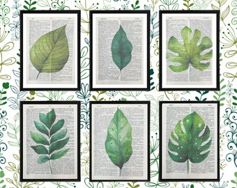 Plant Themed Dictionary Prints - Etsy