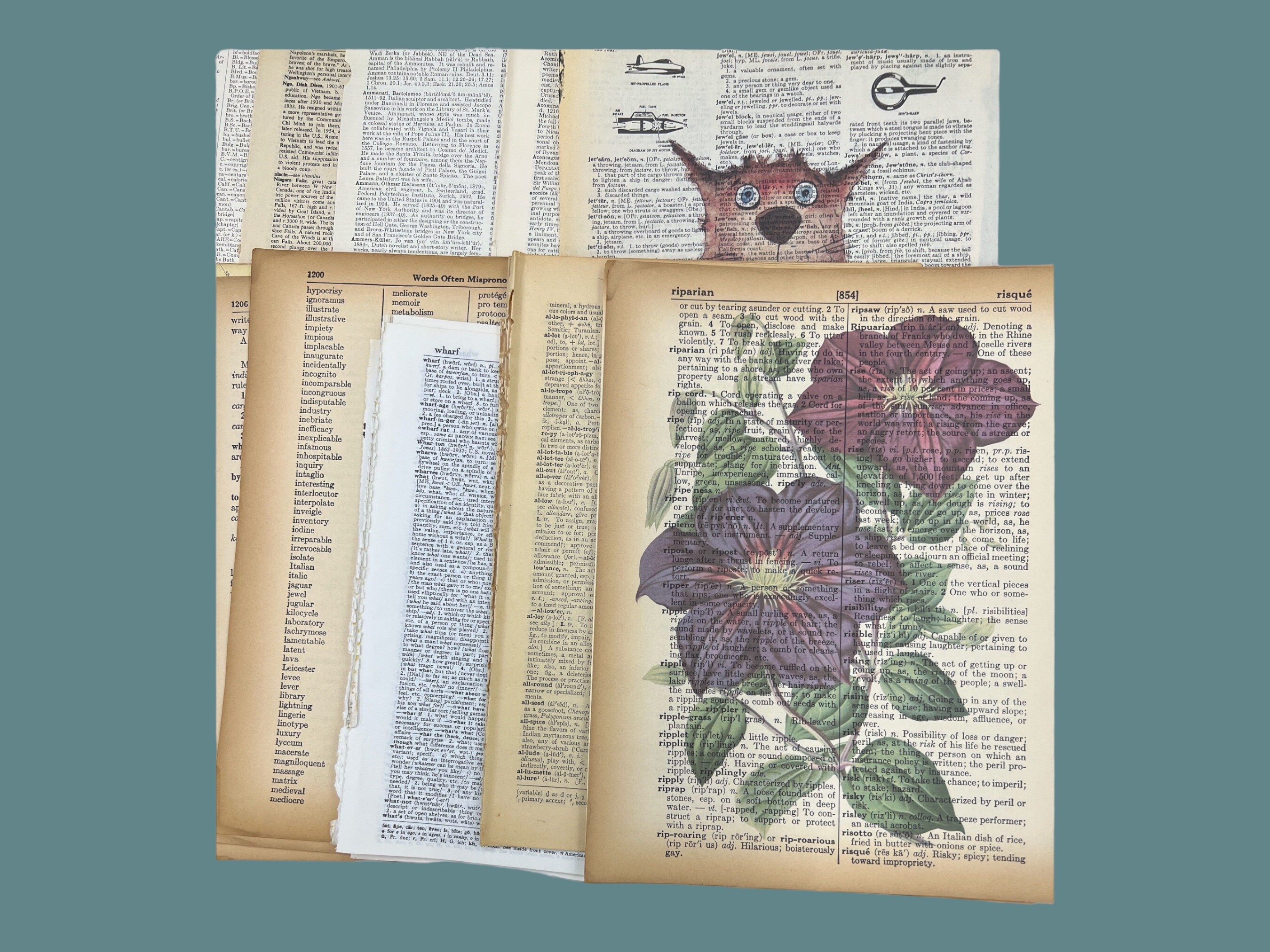 Junk Journal Ephemera Pack Dictionary Book Pages Bundle Printed ...