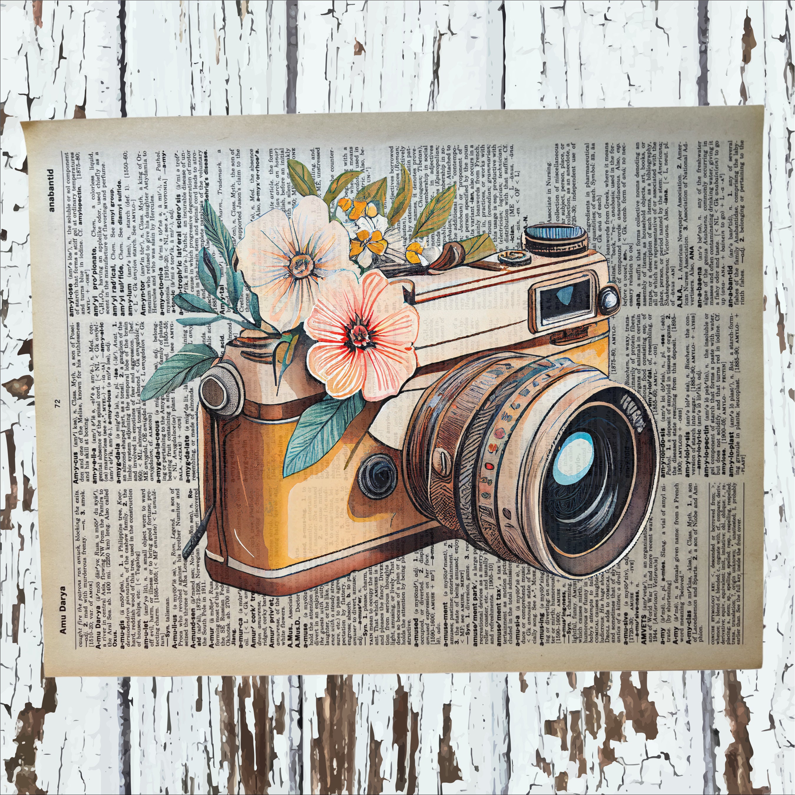 Vintage Camera Themed Dictionary Prints Floral Watercolor Design ...