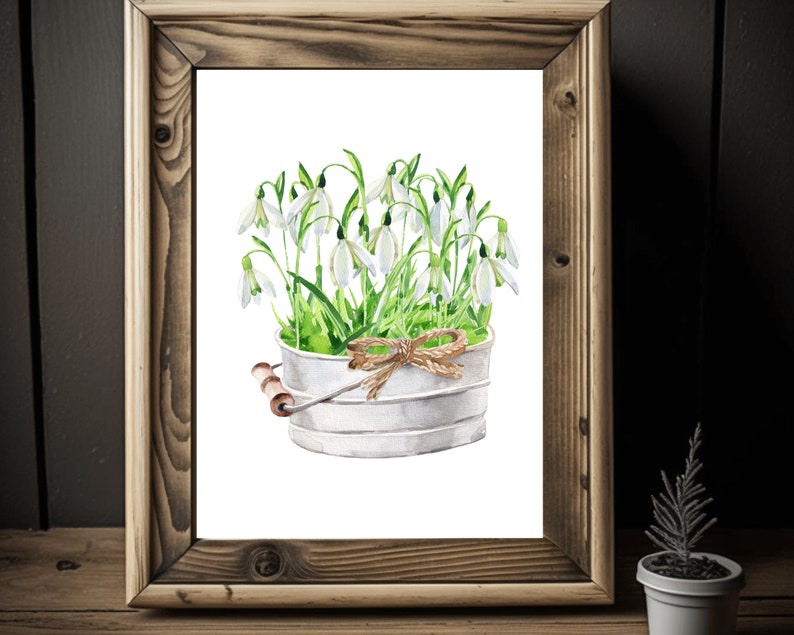 Potted Plant Theme Bundle Mailed Prints Set 6, Printed & Mailed Plant ...