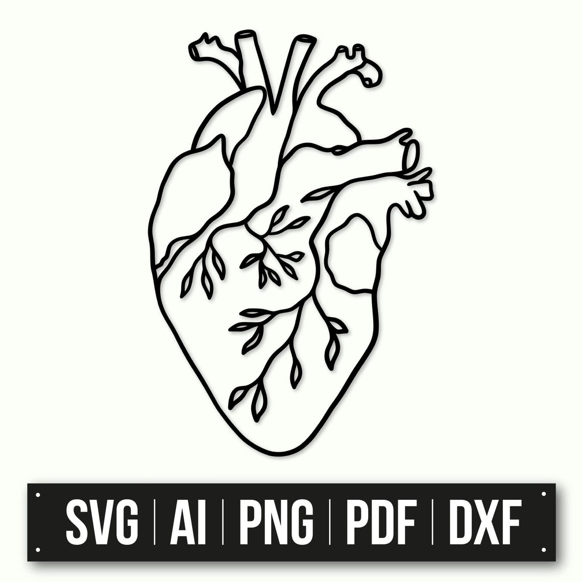 Anatomical Heart Outline Art | Instant Download | Heart Anatomy SVG ...