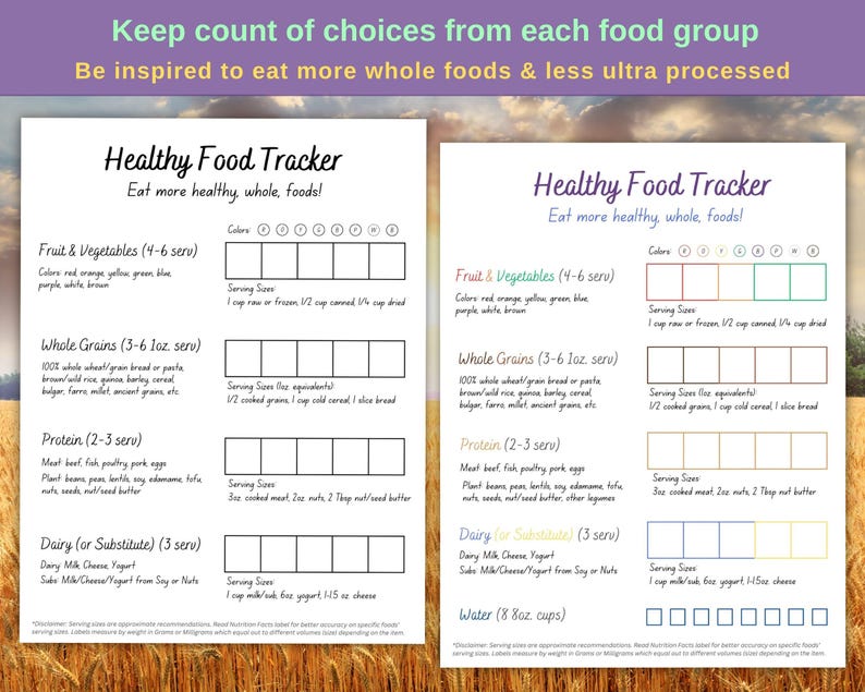 Printable Healthy Eating Tracker, Healthy Food Tracker, Food Diary ...