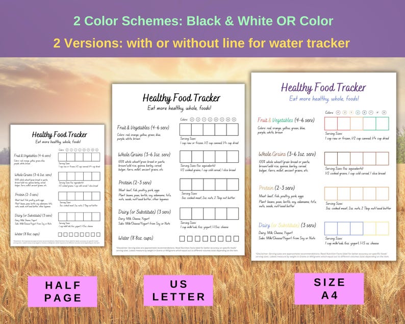 Printable Healthy Eating Tracker, Healthy Food Tracker, Food Diary ...