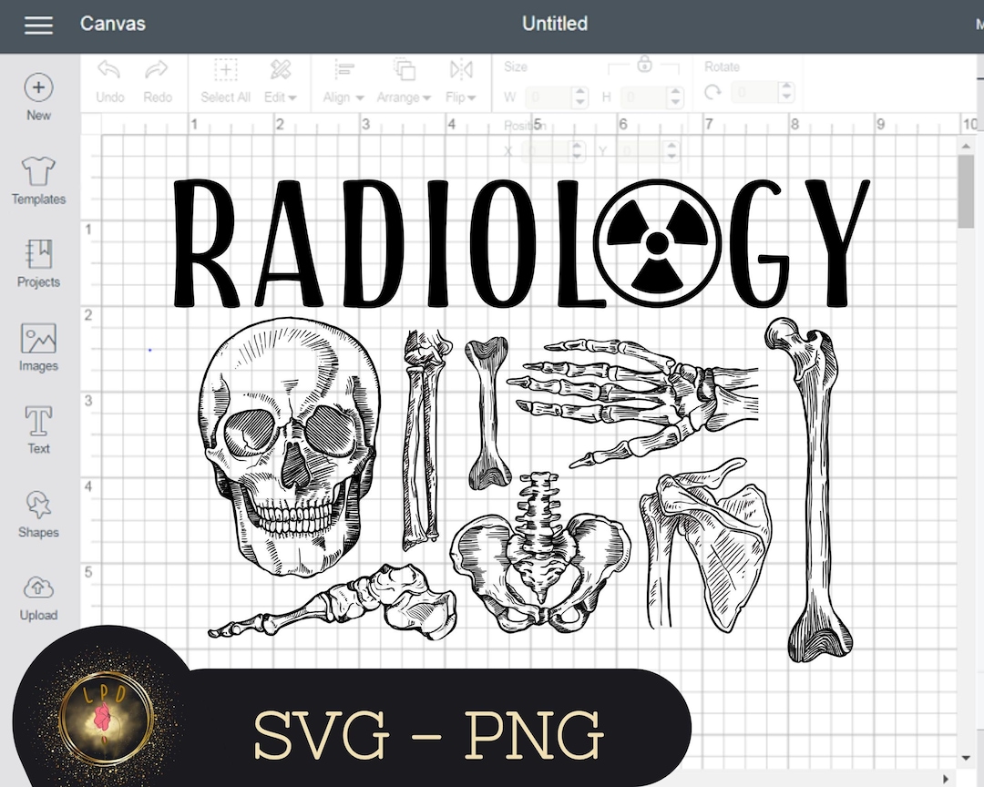 Radiology Svg, Radiology Png, X-ray Svg, X-ray Tech Svg & Png, Rad Tech ...