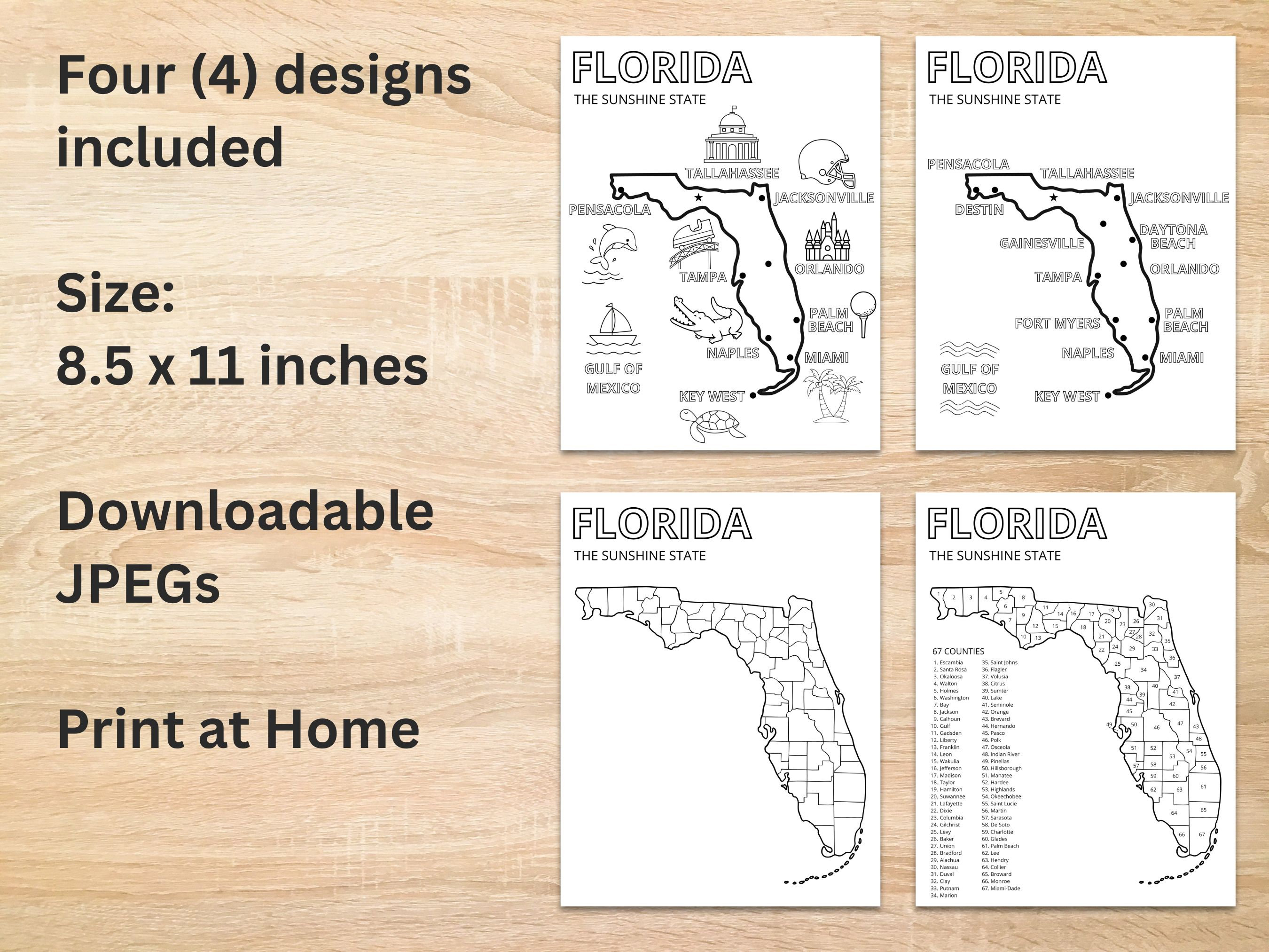 Florida Map With Cities and Counties Coloring Worksheet, Major ...