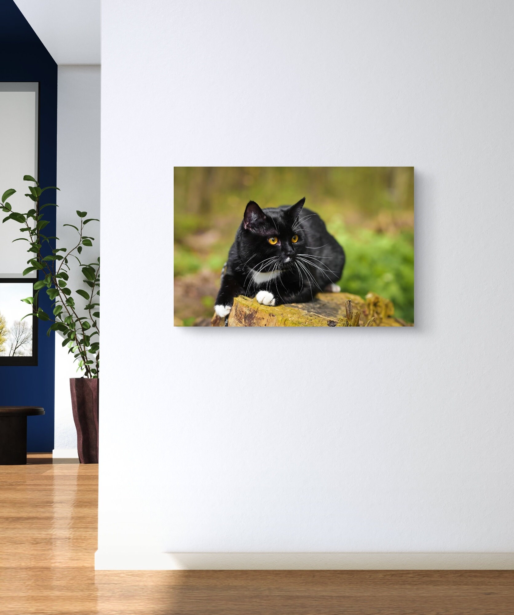 Tuxedo Cat Photo Print, Photography Print, Canvas Print, Home Decor ...