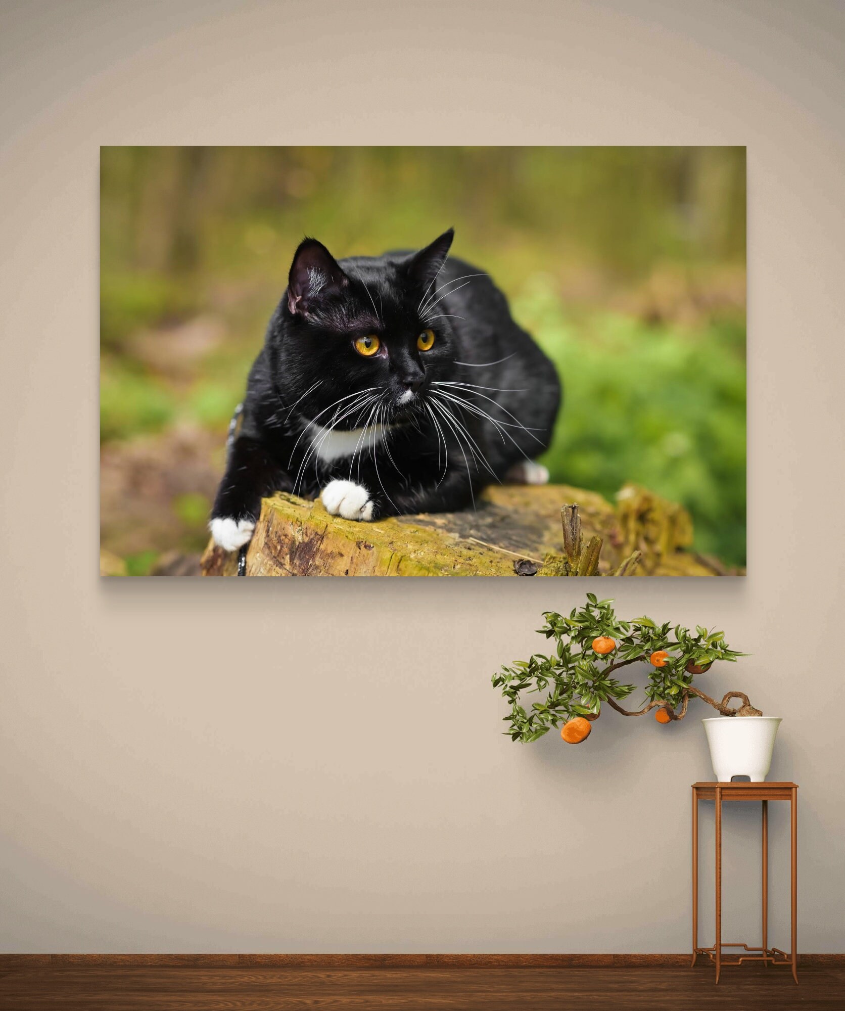 Tuxedo Cat Photo Print, Photography Print, Canvas Print, Home Decor ...