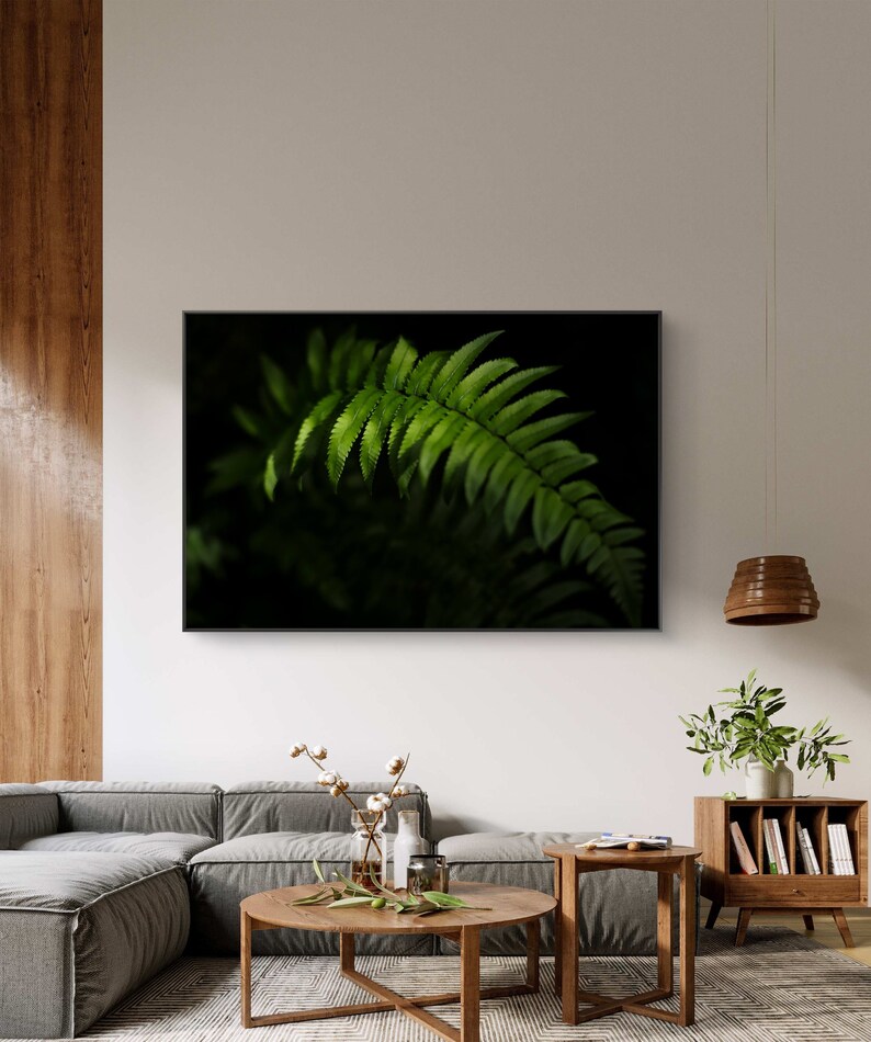 Fern Leaf Photo Print, Canvas Print, Home Decor, Canvas Wall Art, Wall ...