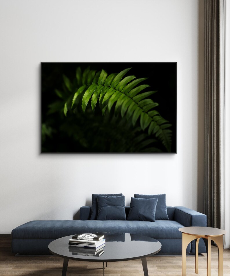 Fern Leaf Photo Print, Canvas Print, Home Decor, Canvas Wall Art, Wall ...