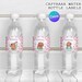 Capybara Water Bottle Labels, Cute Floral Pink Capybara Bottle Wrapper ...