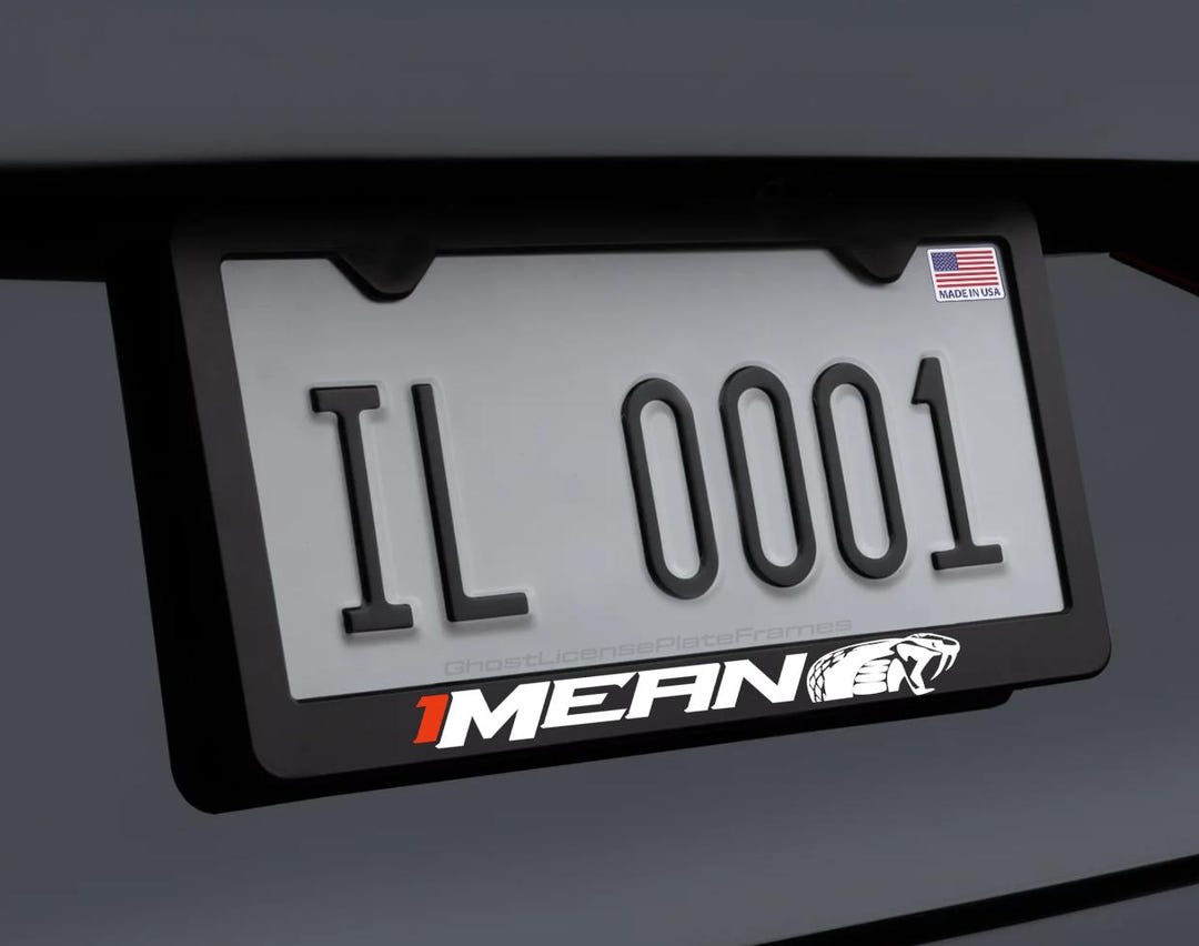 1 Mean Snake License Plate Frame Black Metal With Screws and Caps - Etsy