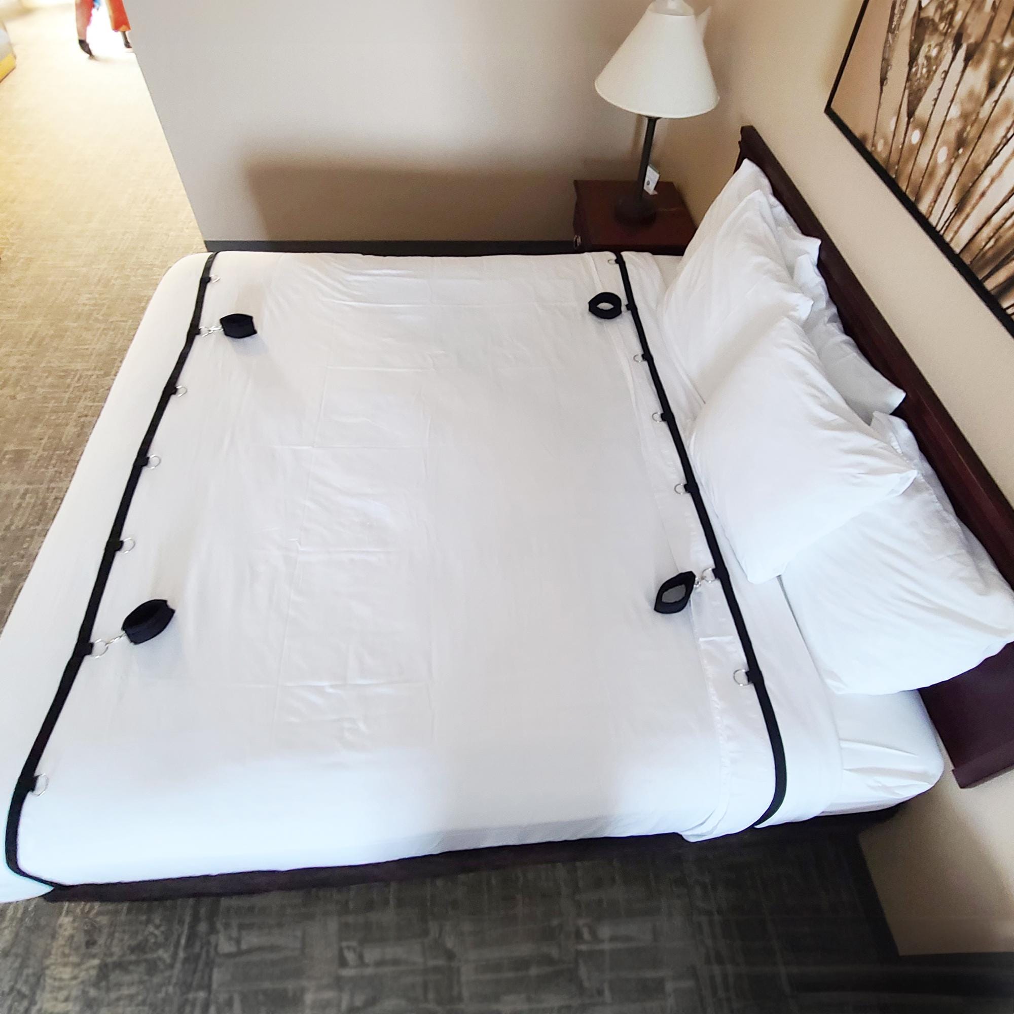 Bed Restraint Set, King and Queen Size, Multiple Positions, Ankle and ...