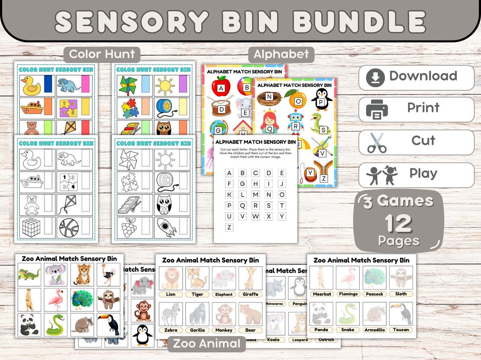 Sensory Bin Play Bundle, Alphabet Sensory Bin Printable Game, Color ...