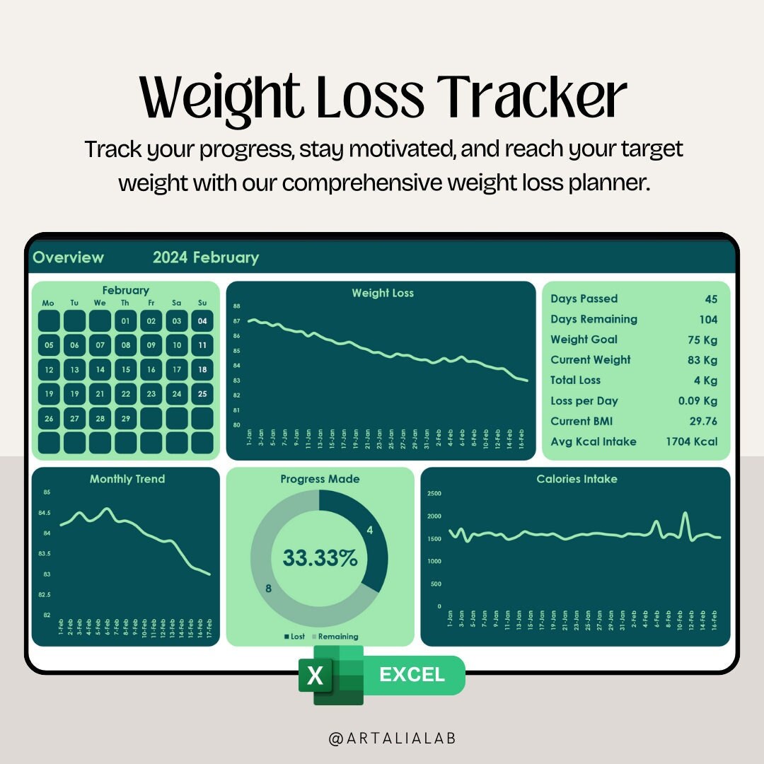 2025 Weight Loss Tracker Spreadsheet for Excel, Weight Journal, Weight ...