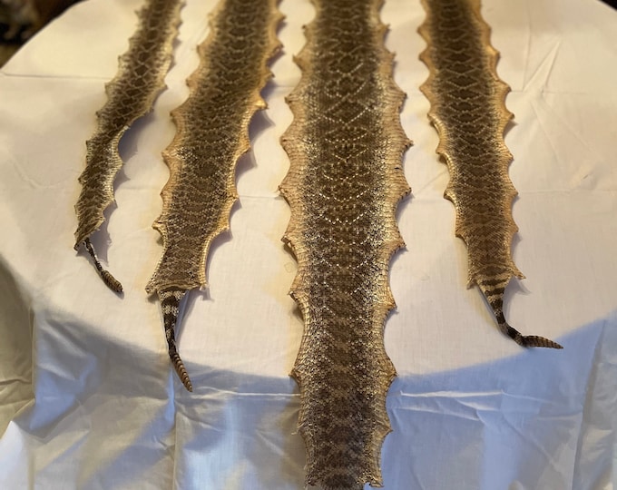 Authentic Diamondback Rattle Snake Hides, Leather, Crafts, Sewing ...