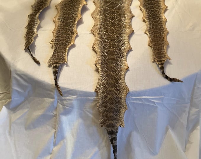 Authentic Diamondback Rattle Snake Hides, Leather, Crafts, Sewing ...