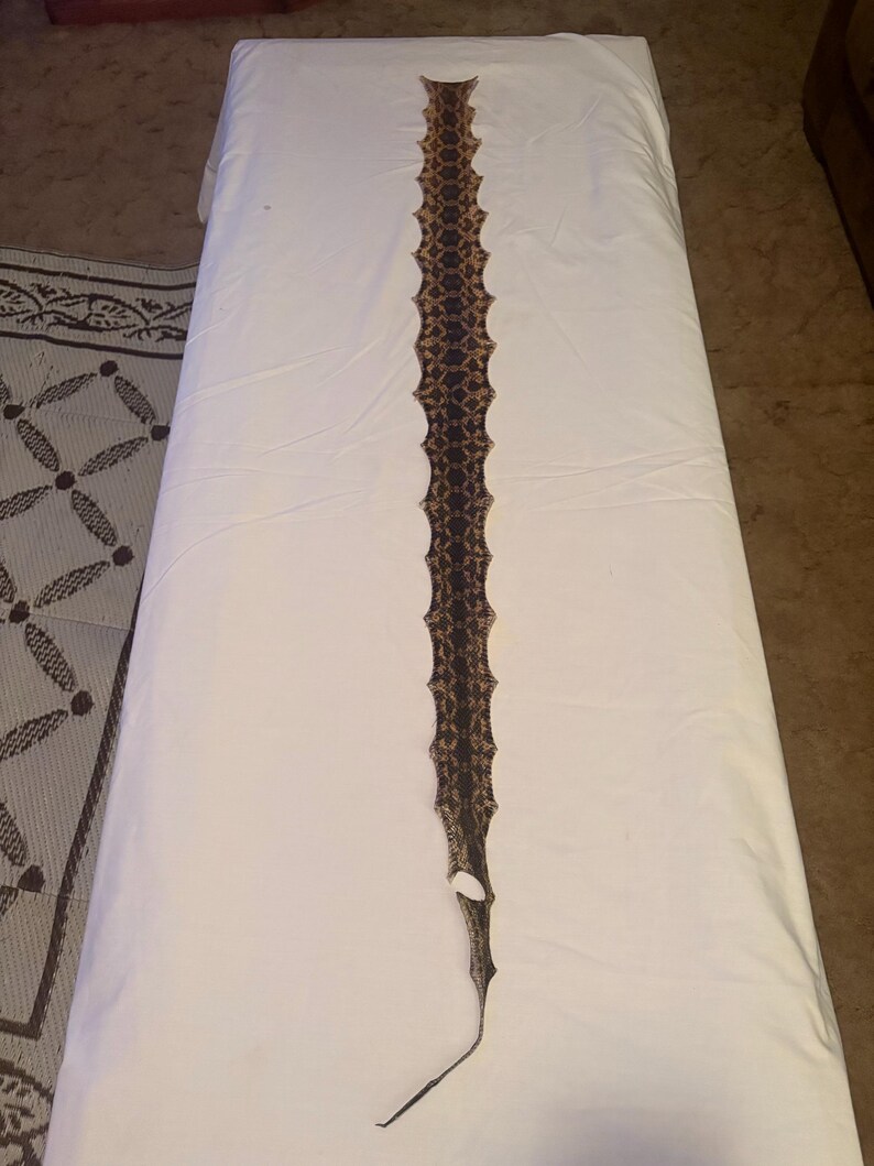 Authentic Texas Rat Snake Hides, Leather, Crafts, Skin, Sewing, Real ...