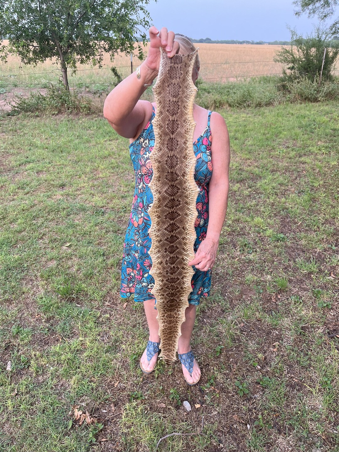 Authentic Diamondback Rattle Snake Hides, Leather, Crafts, Sewing ...