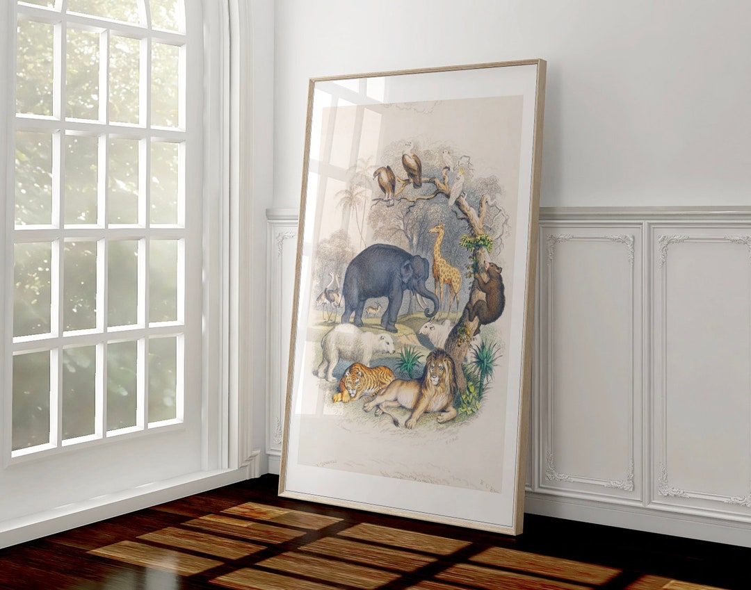 Vintage History of the Earth and Animated Nature Print Animal Poster ...