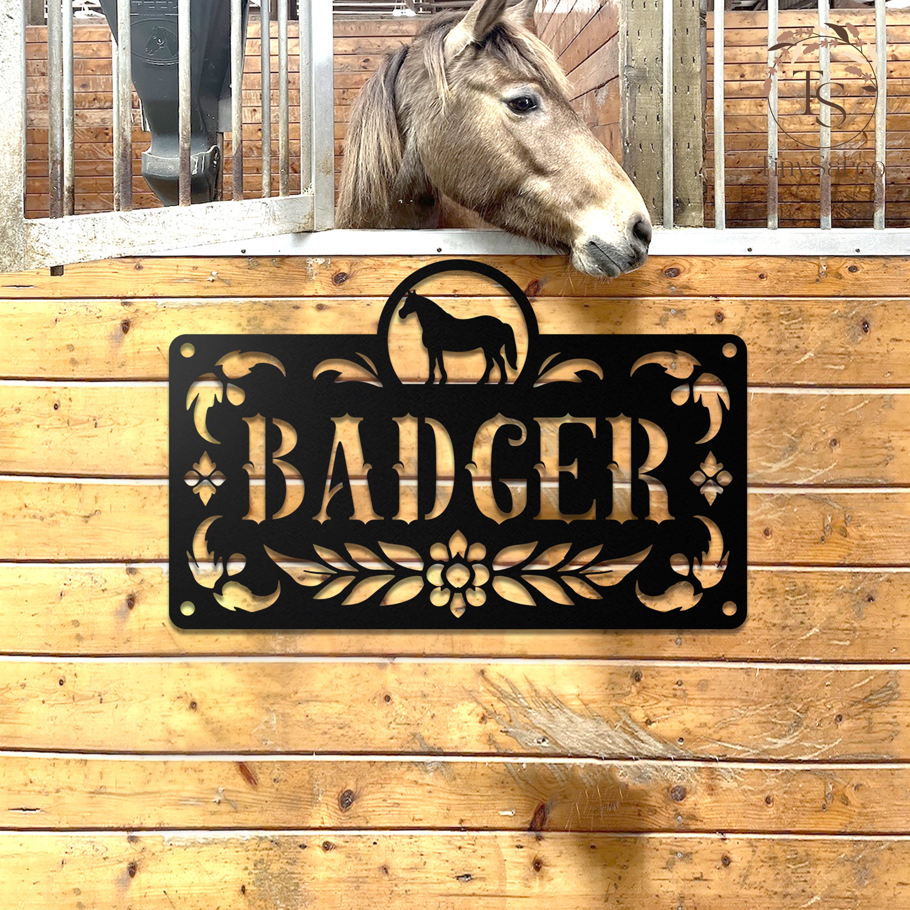 Personalized Horse Stall Name Plate, Horse Metal Sign, Horse Stall Sign ...