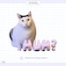 Huh Cat Meme SVG: Funny Cat Sticker, Twitch Emotes (digital Download ...