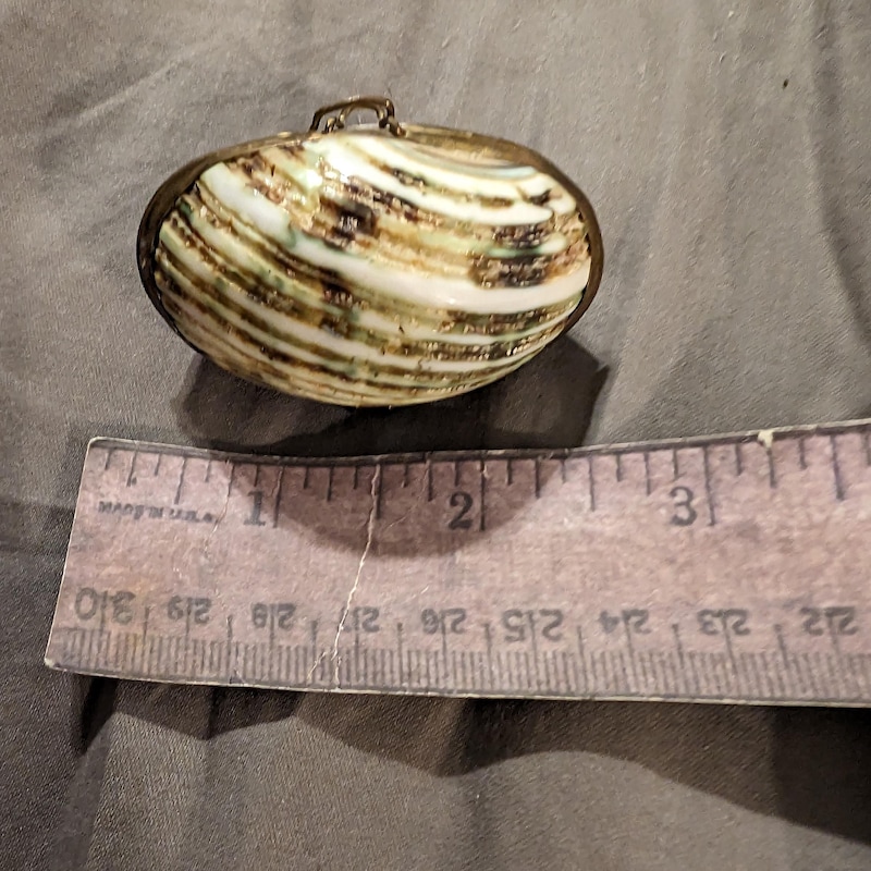 Shell Coin Purse - Etsy