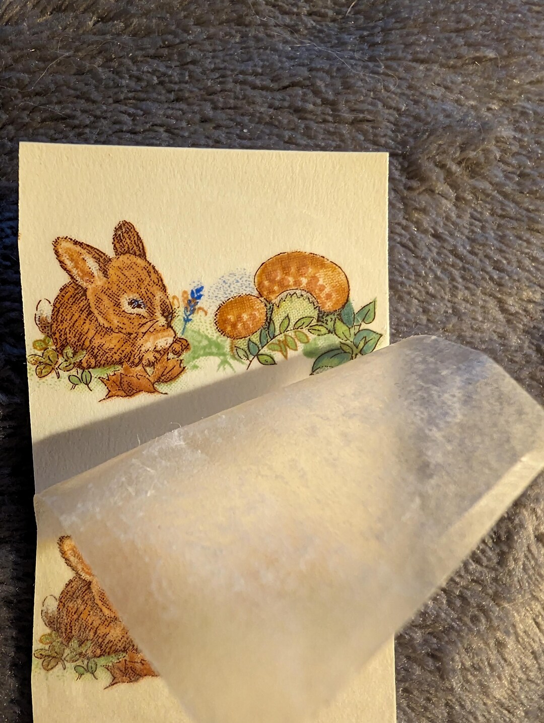Vintage Water Slide Decals for Ceramics Glass or Cabochons Intaglios ...