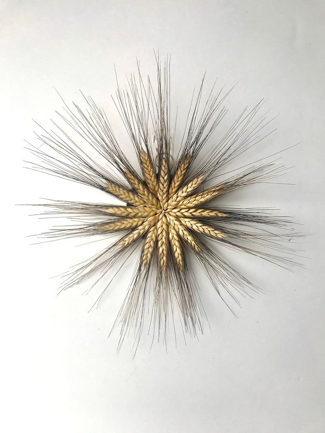 12 Inch Handmade Black Beard Wheat Star Dried Wreath - Etsy