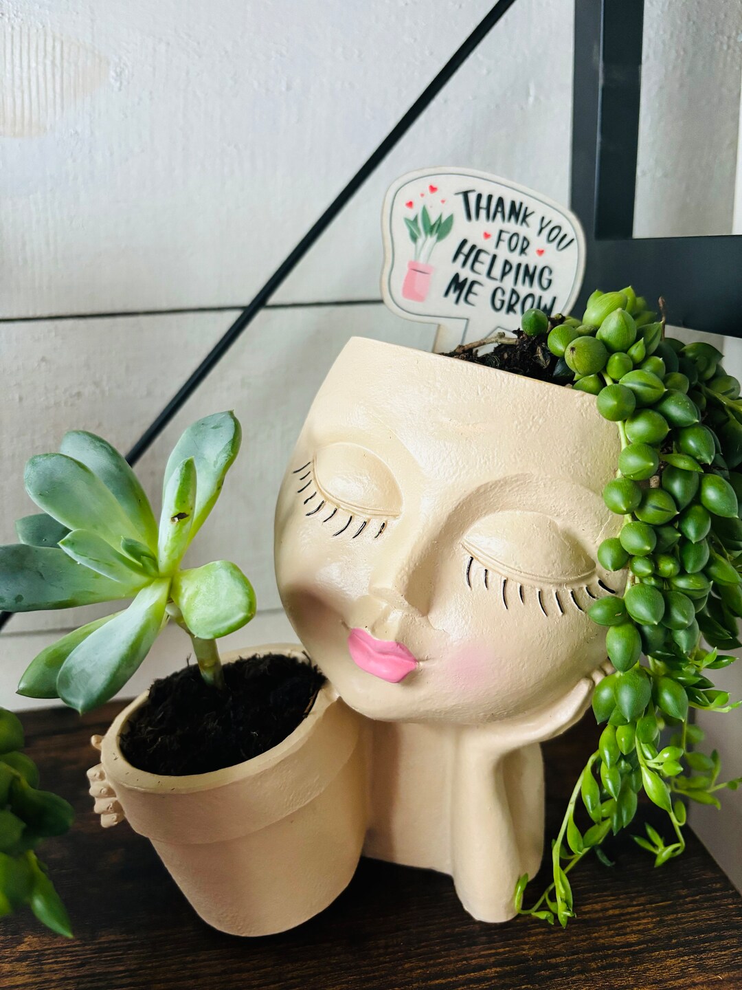 Plant Sign/plant Decor for Potted Plants - Etsy