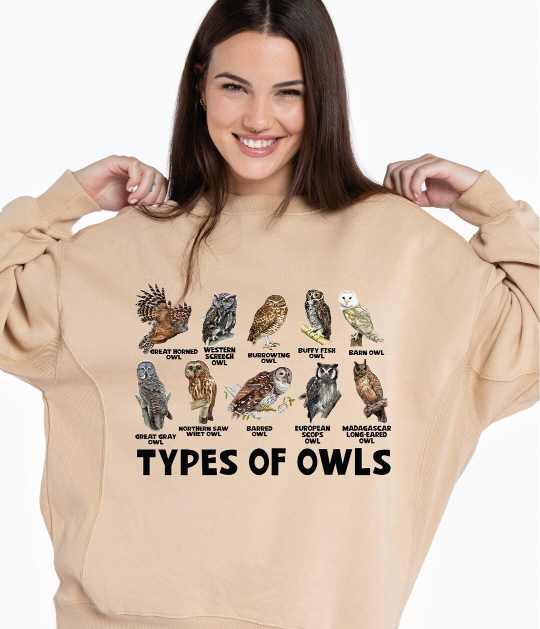 Types of Owls PNG, Owl Png, Bird Png Clipart, Outdoors Png, Great Horn ...