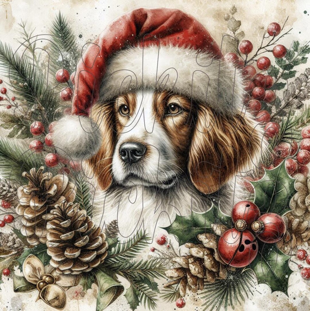 Brittany Spaniel, Santa Hat, Christmas, Farmhouse, Instant Download ...
