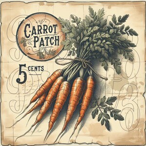 Primitive Carrot Labels, Bundle, 4 Styles, 8x8 Inch Primitive Farmhouse ...