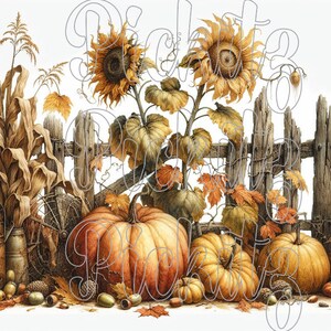 Pumpkins and Sunflowers Bundle, 4 Styles, Primitive Farmhouse, Instant ...