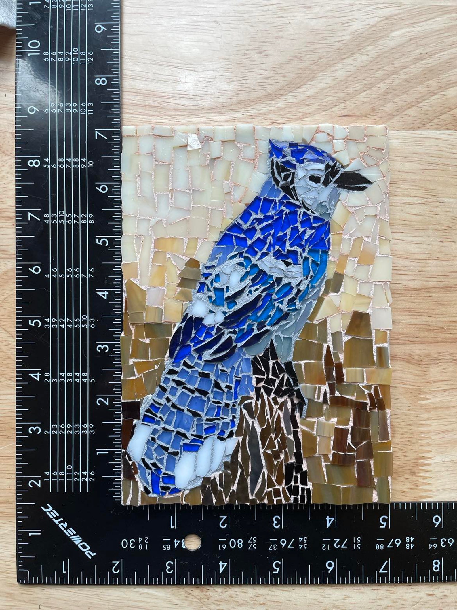 Blue Jay Stained Glass Mosaic on Canvas - Etsy