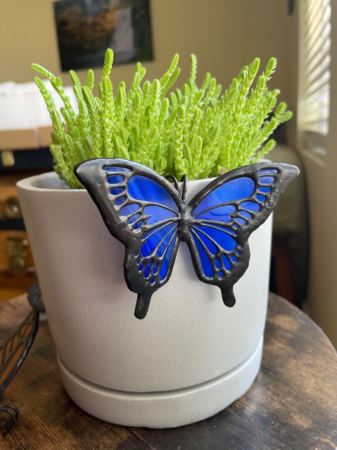 Insect Pot Hugger Butterfly Bee Beetle Plant Ornament - Etsy