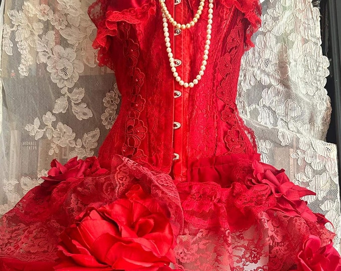 Red Marie Antoinette Costume Corset Cage Skirt Rococo Roses Bow Scarlet ...