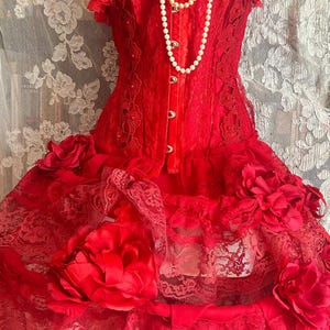 Red Marie Antoinette Costume Corset Cage Skirt Rococo Roses Bow Scarlet ...