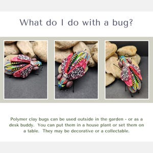 Bug Figurine in Polymer Clay,insect Sculpture,handmade Polymer Clay Bug ...
