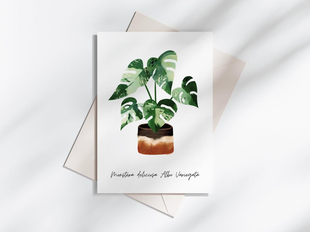 Monstera Plant Printable Card Illustrated Botanical Digital Download ...