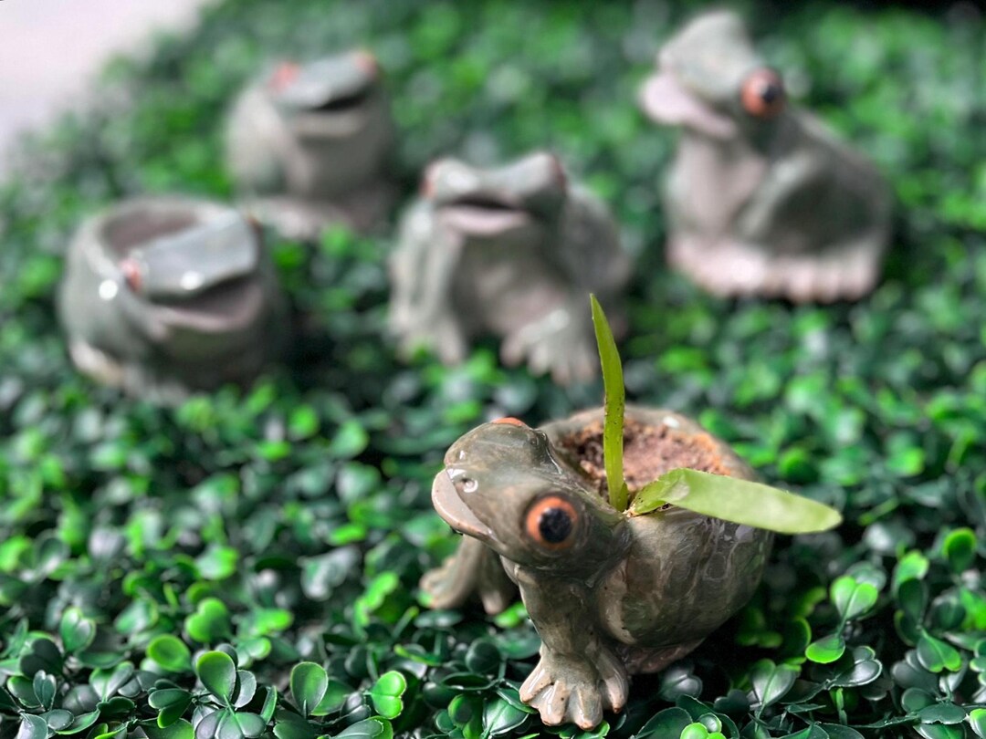 Frog Planter - Handmade Ceramic - Etsy