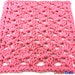 Offset Shell Quick Crochet Dishcloth - PDF Pattern - Etsy Canada