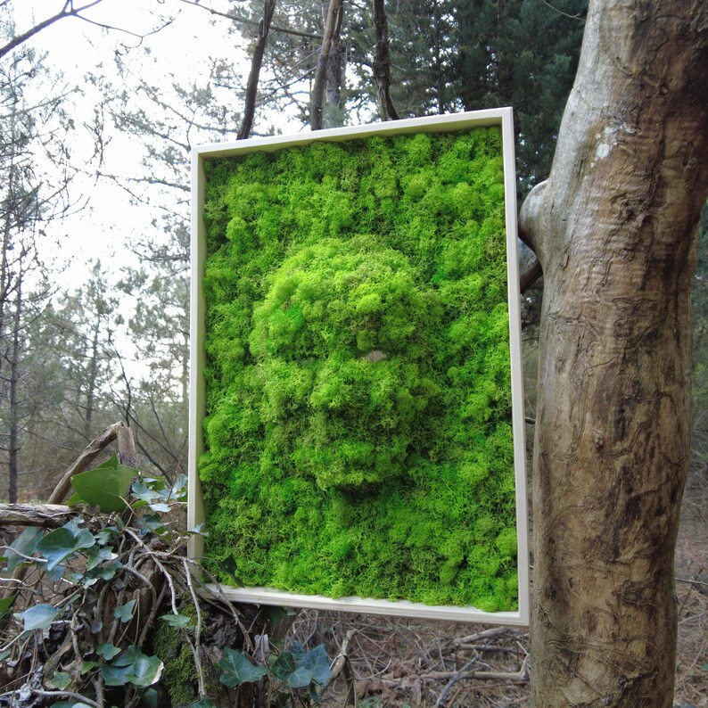 Moss Wall Decor, Moss Art, Wooden Framed Moss Wall Panel, Home Decor ...