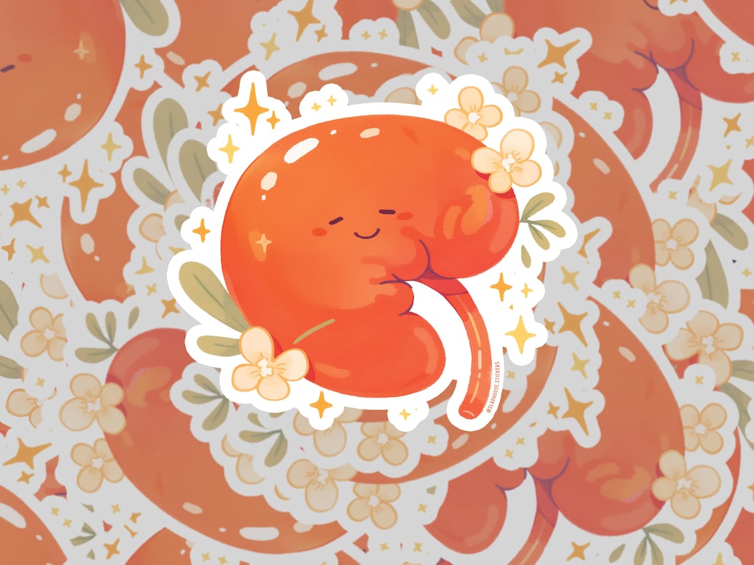 Kidney Sticker, Cute Stickers, Support Kids, Laptop Stickers, Water ...