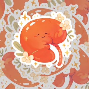 Kidney Sticker, Cute Stickers, Support Kids, Laptop Stickers, Water ...