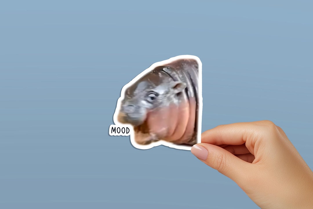 Moo Deng Mood Sticker, Vinyl Stickers, Fun Decal, Laptop Stickers ...