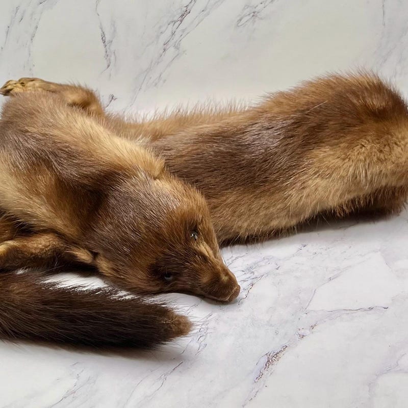 Vintage Mink Stole - Etsy