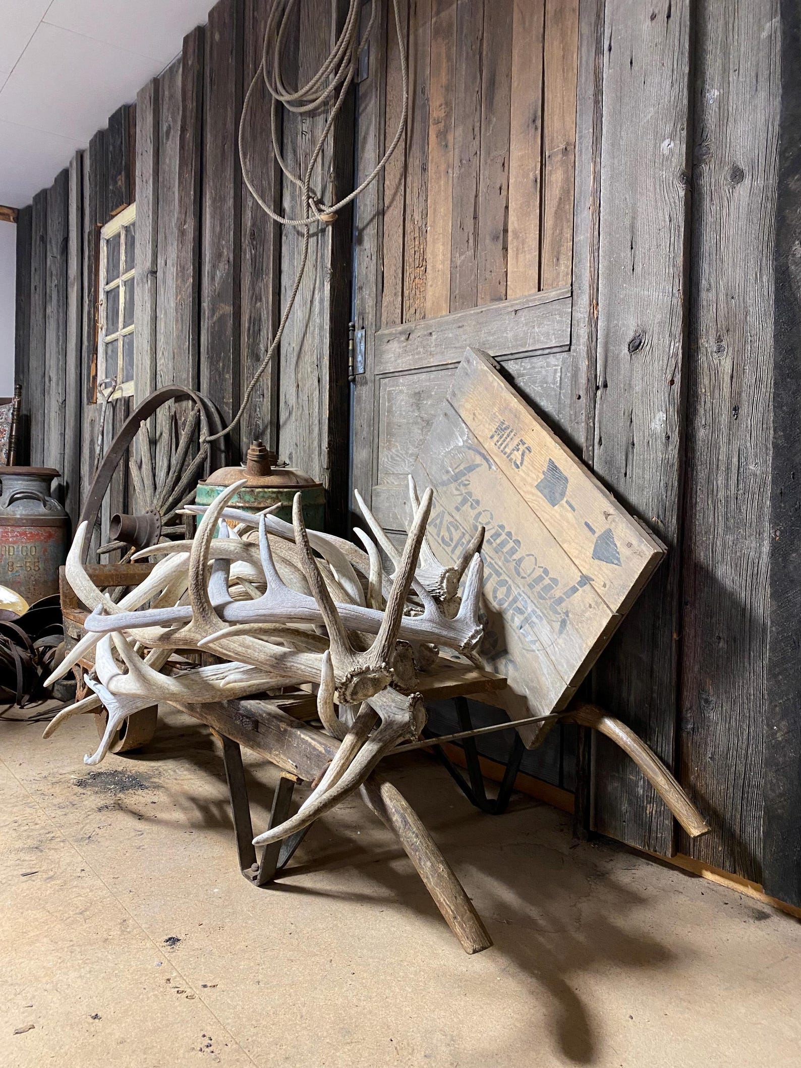 Elk Antler Stack - 11 High Character Naturally Shed Antlers, Ideal for ...