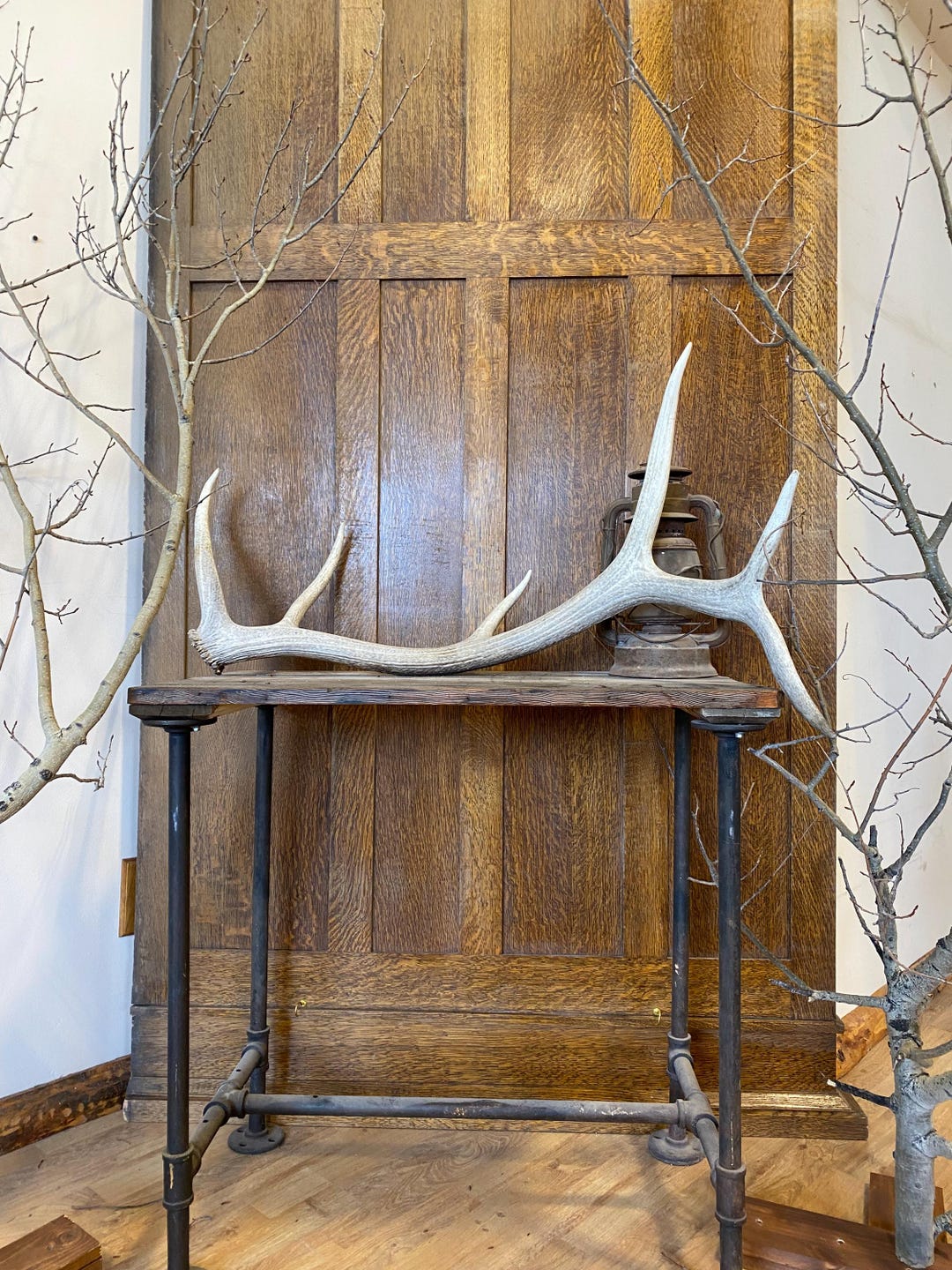 Naturally Shed Antler Decor- 6 Point Hard White Elk Antler, Extra Long ...
